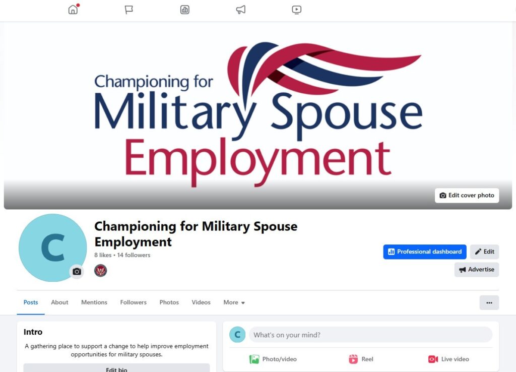 Employment Challenges as a Military Spouse Abroad: My Experience in ...